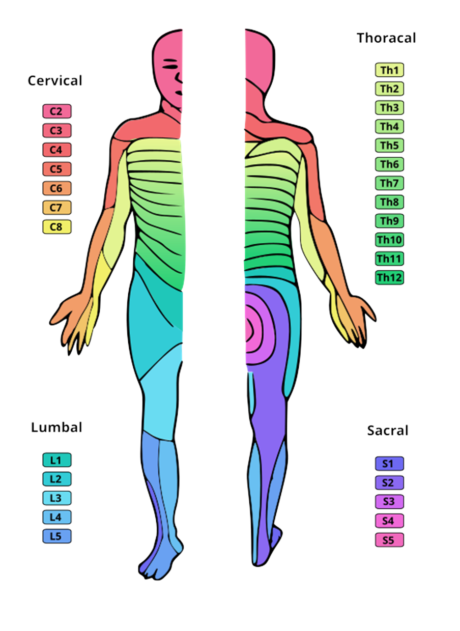 Why acupuncture points are where they are… | Integrated Chiropractic ...